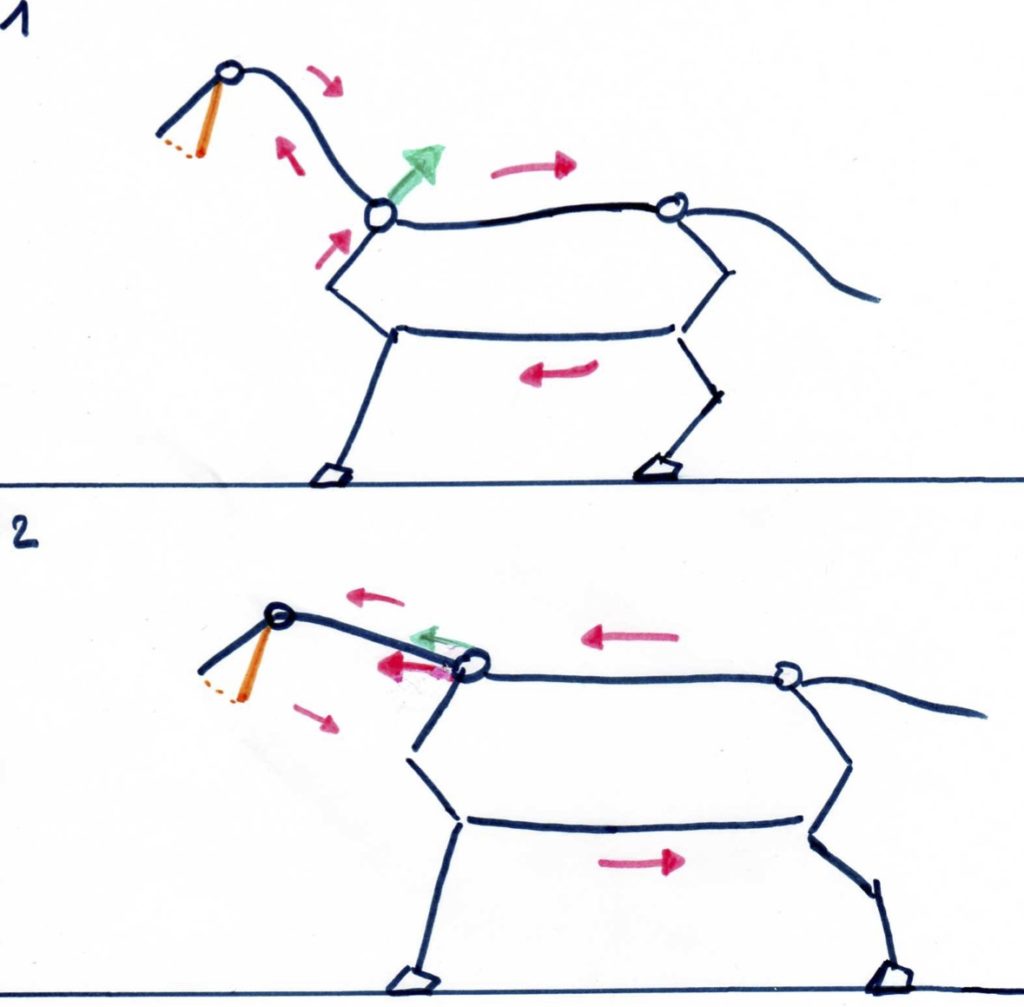 Pourquoi et comment pratiquer le reculer sans faire de dégâts physiques ...
