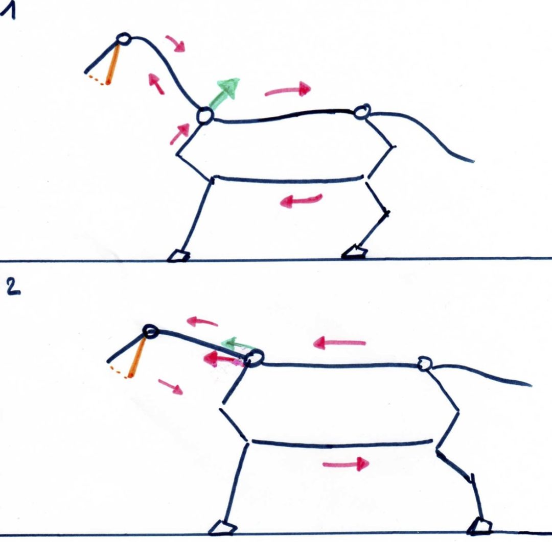Pourquoi et comment pratiquer le reculer sans faire de dégâts physiques ...
