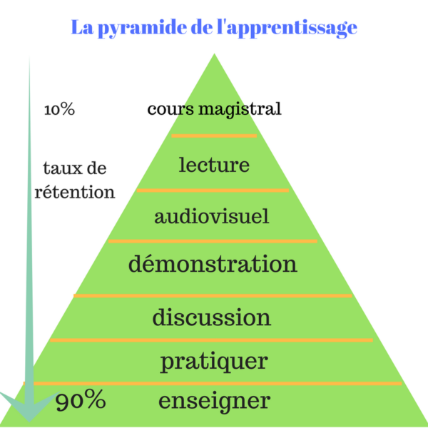 La pyramide de l'apprentissage - Progresser avec son Cheval