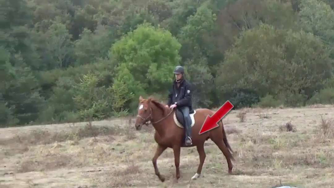 Comment partir au galop - Progresser avec son Cheval