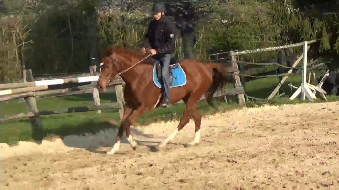 La position des jambes à cheval - Progresser avec son Cheval